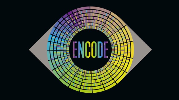 Collections | Nature