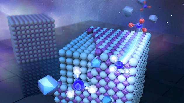 Collections | Nature Synthesis