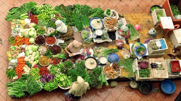 Collections | Nature Food