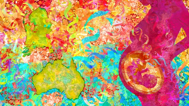 Carin Ashley Wallpaper