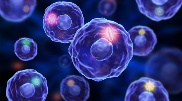 Collections | Light: Science & Applications