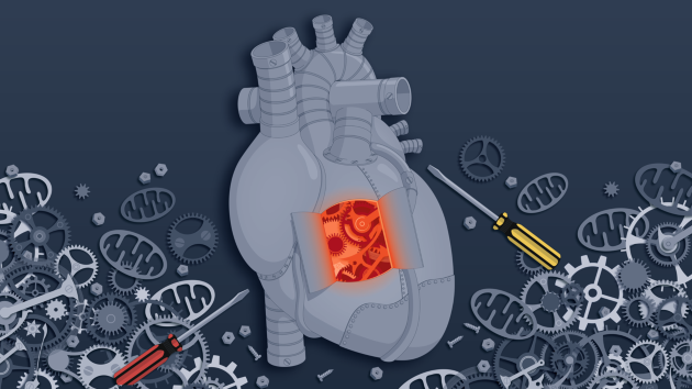 Collections | Nature Reviews Cardiology