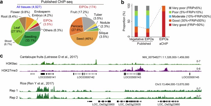 aChIP is an efficient and sensitive ChIP-seq technique for economically ...