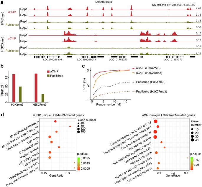 aChIP is an efficient and sensitive ChIP-seq technique for economically ...