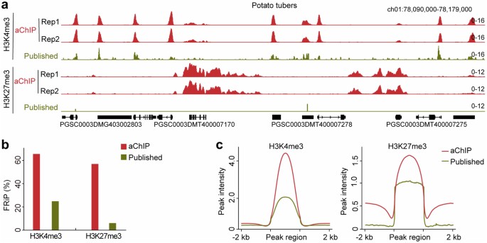 aChIP is an efficient and sensitive ChIP-seq technique for economically ...