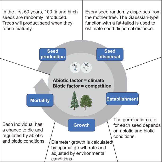 Accelerated succession in Himalayan alpine treelines under climatic ...