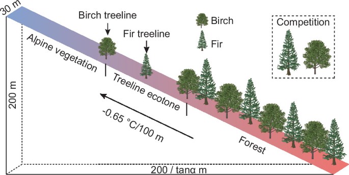 Accelerated succession in Himalayan alpine treelines under climatic ...