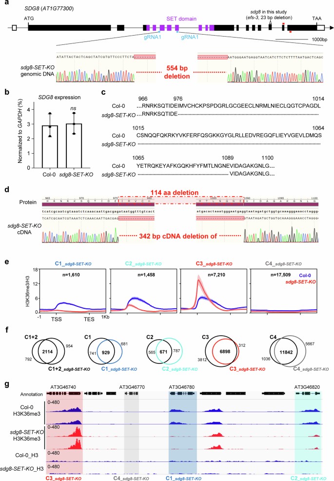 H3K36 methylation stamps transcription resistive to preserve ...