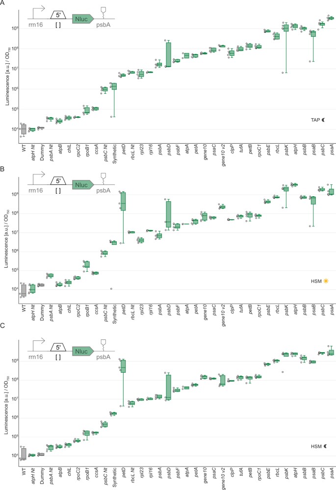 A modular high-throughput approach for advancing synthetic biology in ...