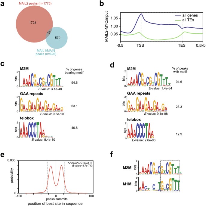 Plant mobile domain protein–DNA motif modules counteract Polycomb ...