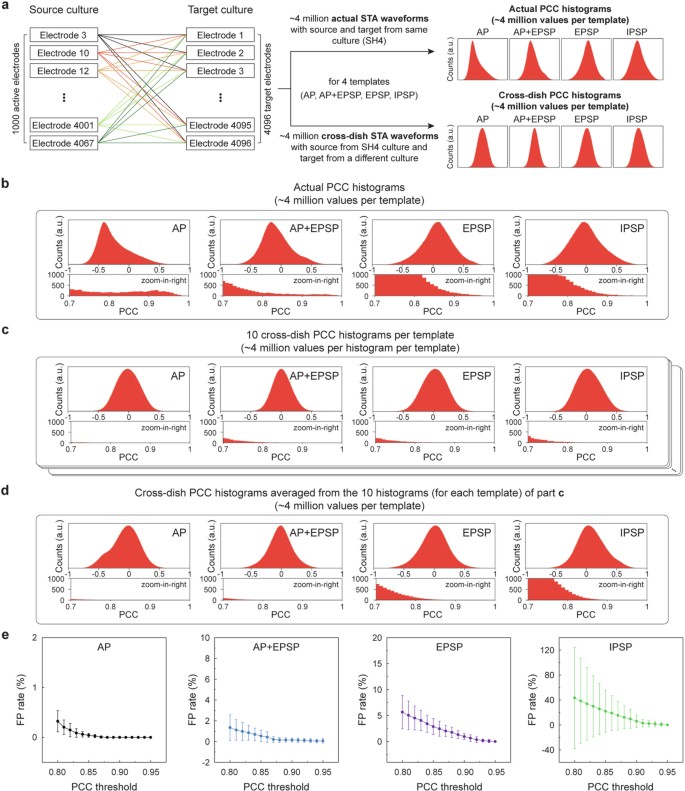 Synaptic connectivity mapping among thousands of neurons via ...