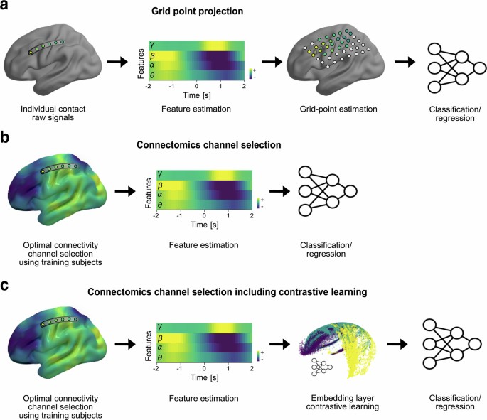Invasive neurophysiology and whole brain connectomics for neural ...