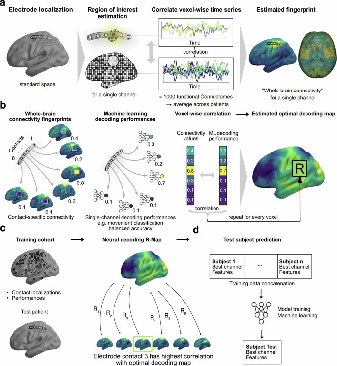 Invasive neurophysiology and whole brain connectomics for neural ...