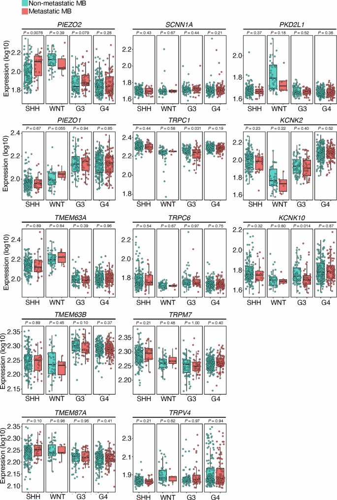 Fluid shear stress activates a targetable mechano-metastatic cascade to ...