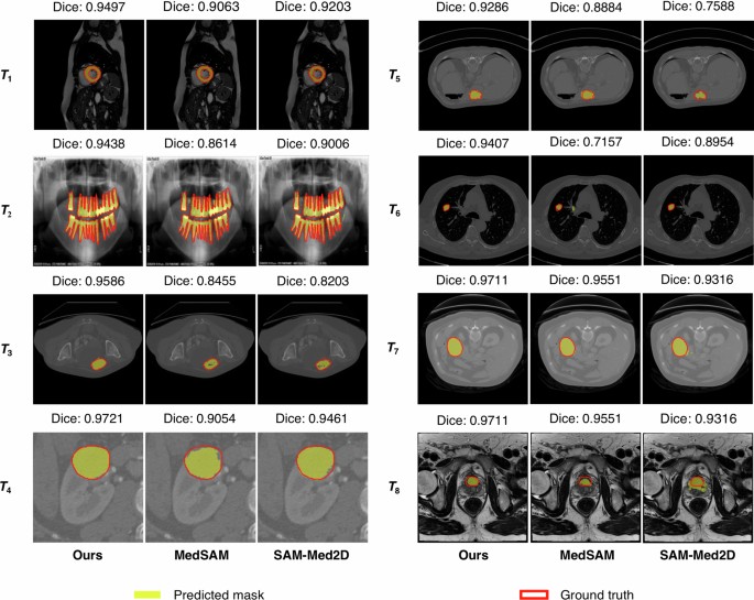 A generalist foundation model and database for open-world medical image ...
