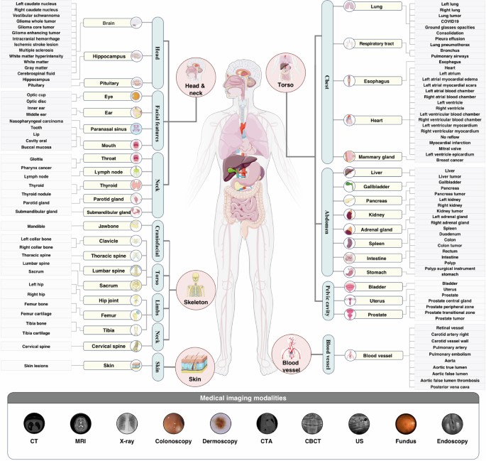 A generalist foundation model and database for open-world medical image ...