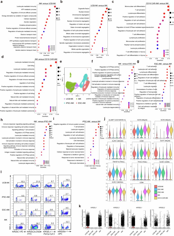 Large-scale generation of iNK and CAR-iNK cells from CD34 ...