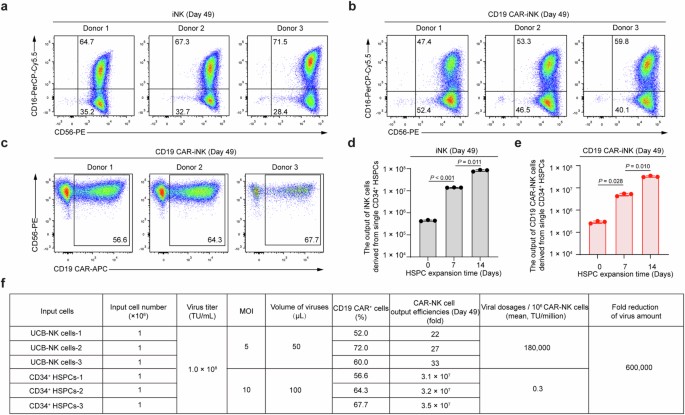 Large-scale generation of iNK and CAR-iNK cells from CD34 ...