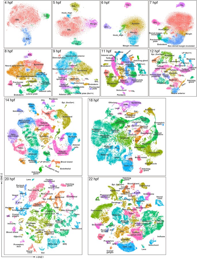 Mapping the chromatin accessibility landscape of zebrafish embryogenesis at single-cell ...