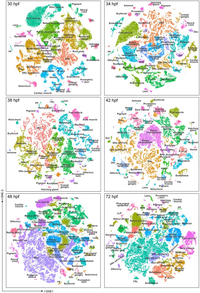 Mapping the chromatin accessibility landscape of zebrafish embryogenesis at single-cell ...