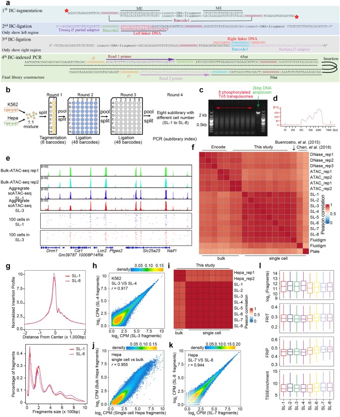 Mapping the chromatin accessibility landscape of zebrafish embryogenesis at single-cell ...
