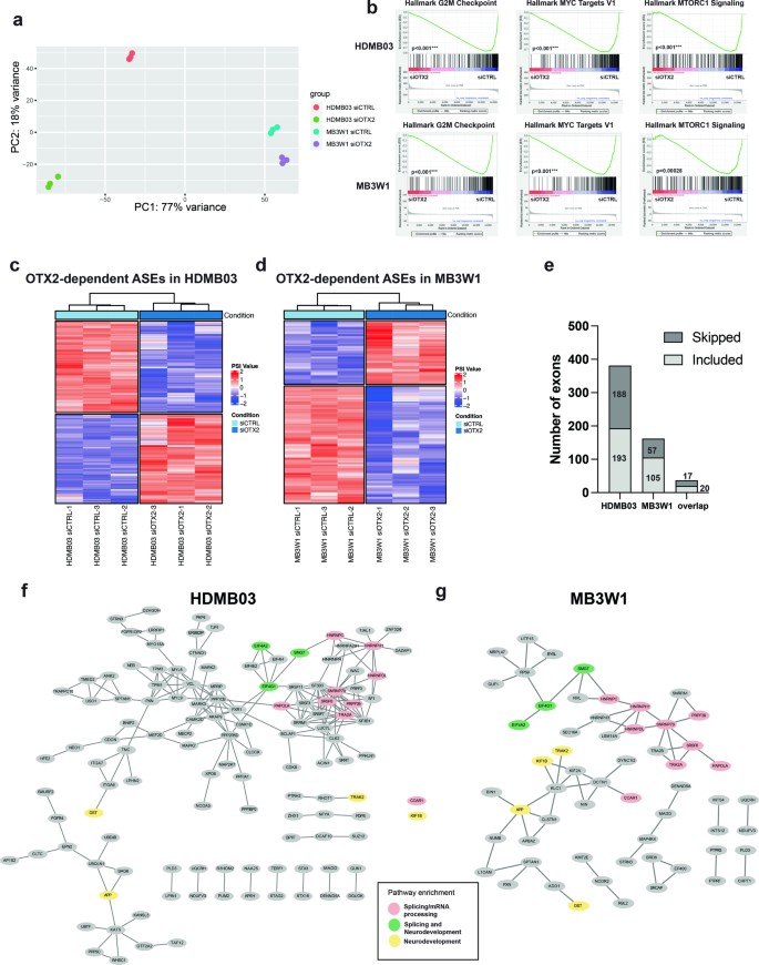 A group 3 medulloblastoma stem cell program is maintained by OTX2 ...