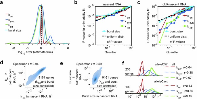 Single-cell new RNA sequencing reveals principles of transcription at ...