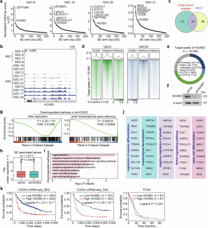 Defining heterogeneity in core regulatory circuitry reveals HOXB3 ...
