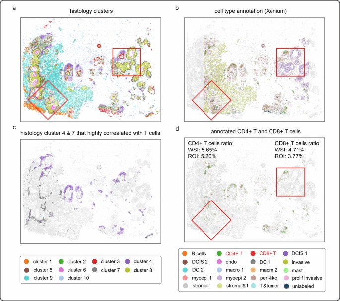 Smart spatial omics (S2-omics) optimizes region of interest selection ...
