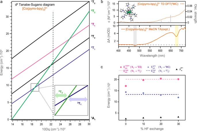 Establishing the origin of Marcus-inverted-region behaviour in the ...