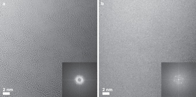Direct visualization of ligands on gold nanoparticles in a liquid ...