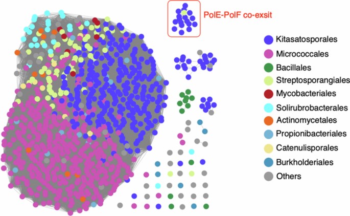 Azetidine amino acid biosynthesis by non-haem iron-dependent enzymes ...