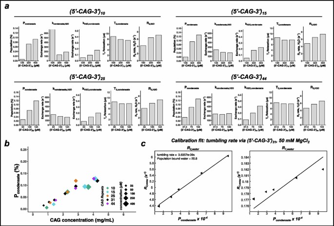 Water-detected NMR allows dynamic observations of repeat-expansion RNA ...