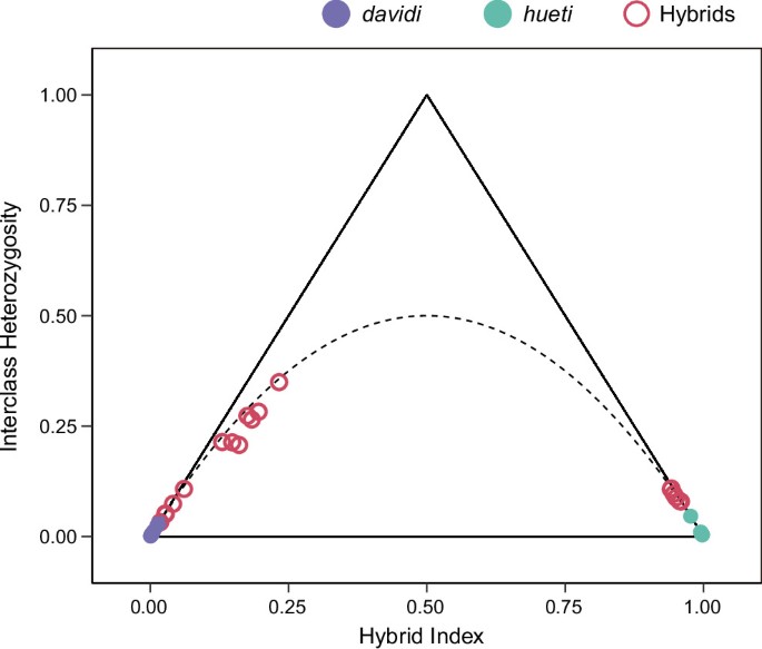 Hybridization mitigates climate change risk in mountainous birds ...