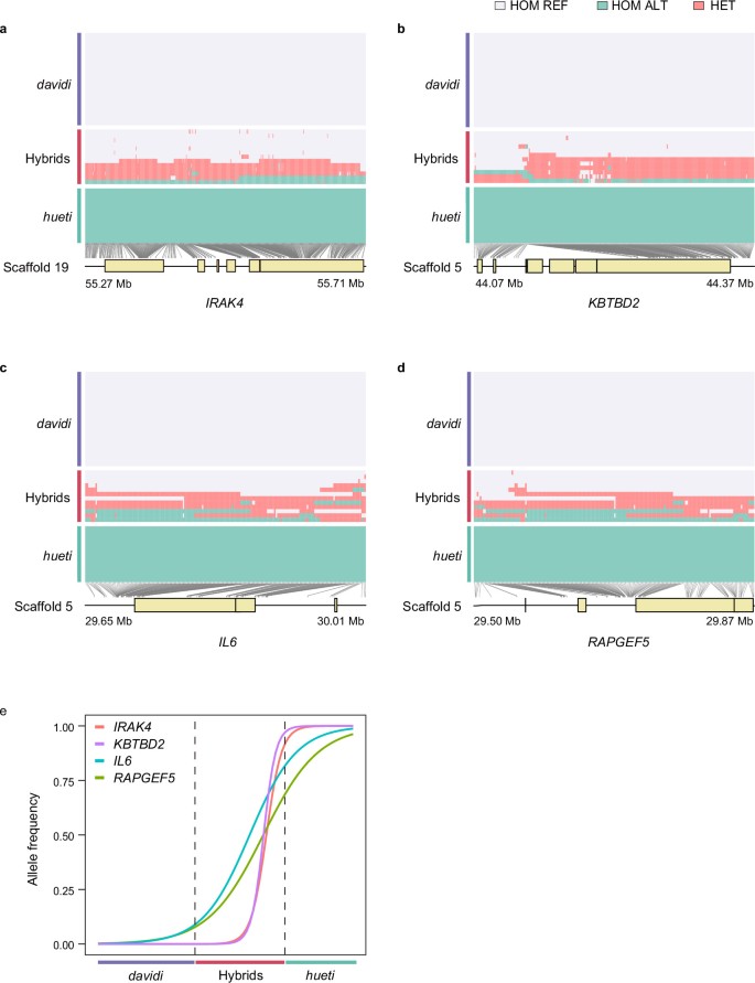 Hybridization mitigates climate change risk in mountainous birds ...