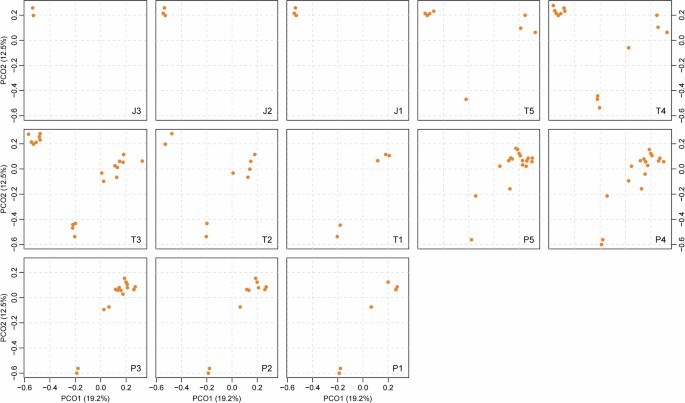 Morphological innovation did not drive diversification in Mesozoic ...