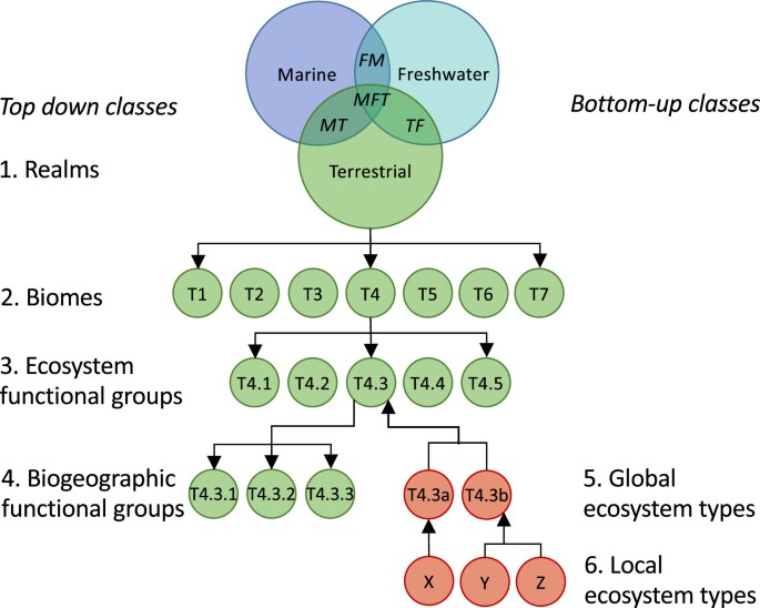 Synergies and complementarities between ecosystem accounting and the ...