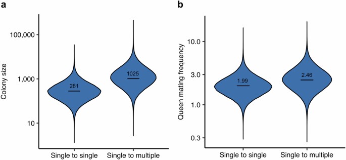 Larger colony sizes favoured the evolution of more worker castes in ...