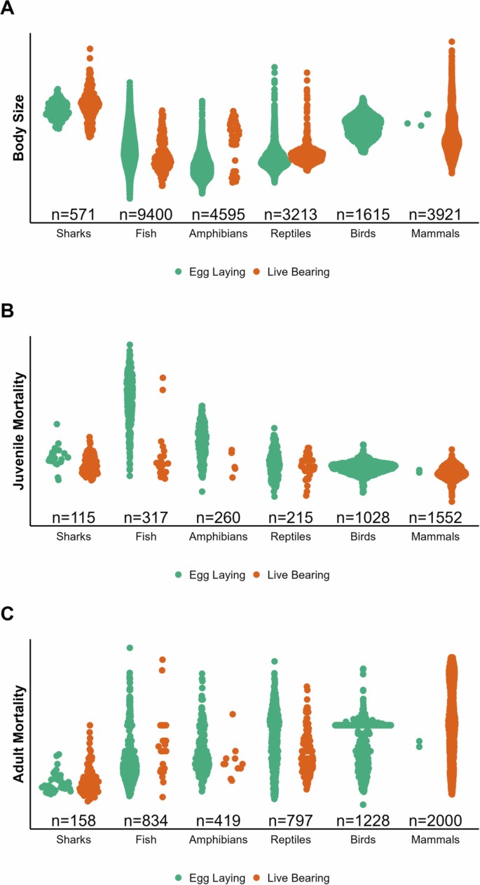 Fundamental constraints on vertebrate life history are shaped by ...
