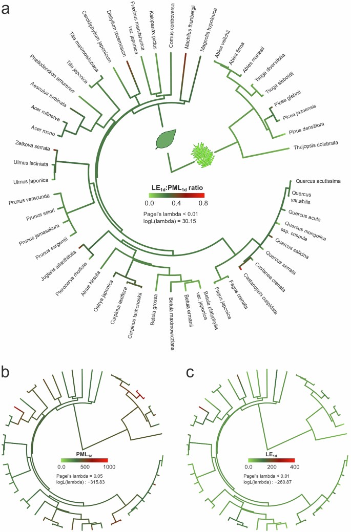 Climatic differences among habitats shape the balance between maximum ...
