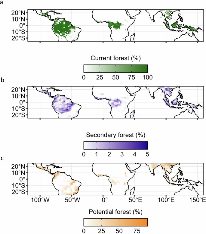 Reduced productivity and carbon drawdown of tropical forests from ...