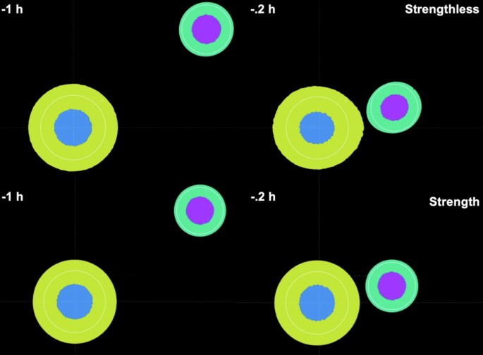 Capture of an ancient Charon around Pluto | Nature Geoscience