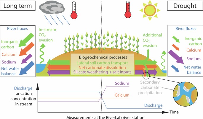 Drought constrictions on lateral carbon transport | Nature Geoscience