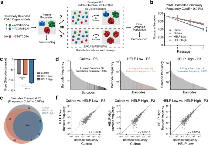 Engineered matrices reveal stiffness-mediated chemoresistance in ...