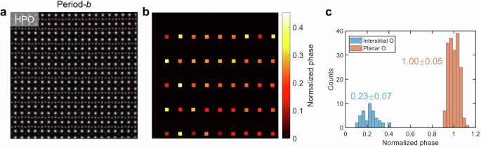 Interstitial oxygen order and its competition with superconductivity in ...