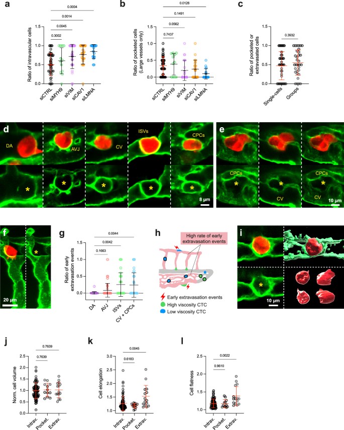 Cell viscosity influences haematogenous dissemination and metastatic ...