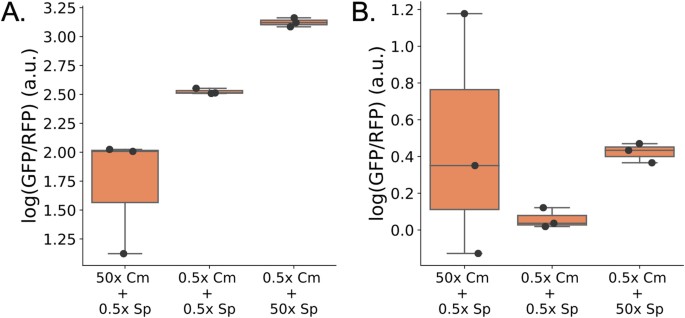 Engineering plasmid copy number heterogeneity for dynamic microbial ...