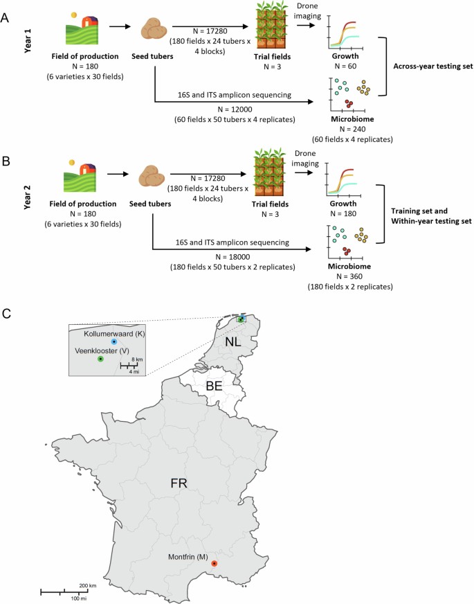 Seed tuber microbiome can predict growth potential of potato varieties ...