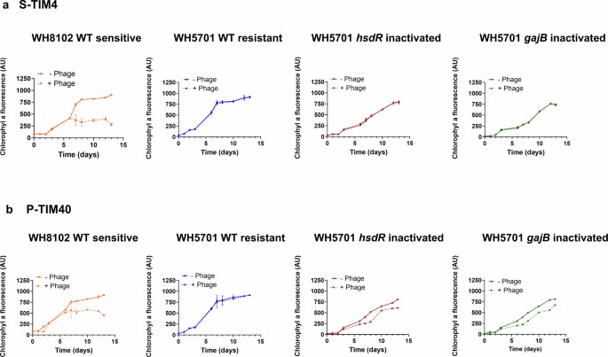 Adaptive loss of tRNA gene expression leads to phage resistance in a ...