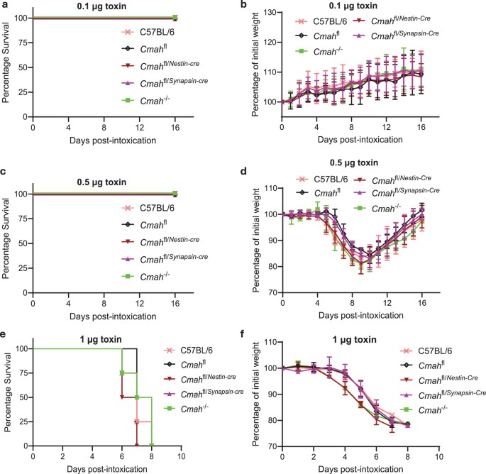 Typhoid toxin causes neuropathology by disrupting the blood–brain ...